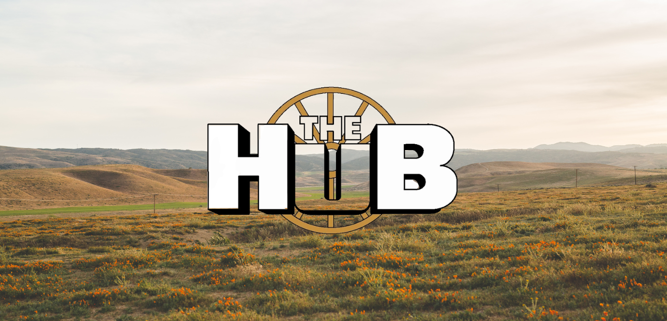 Welcome to The Hub - Regular, Big, and TALL, We Fit Them All!